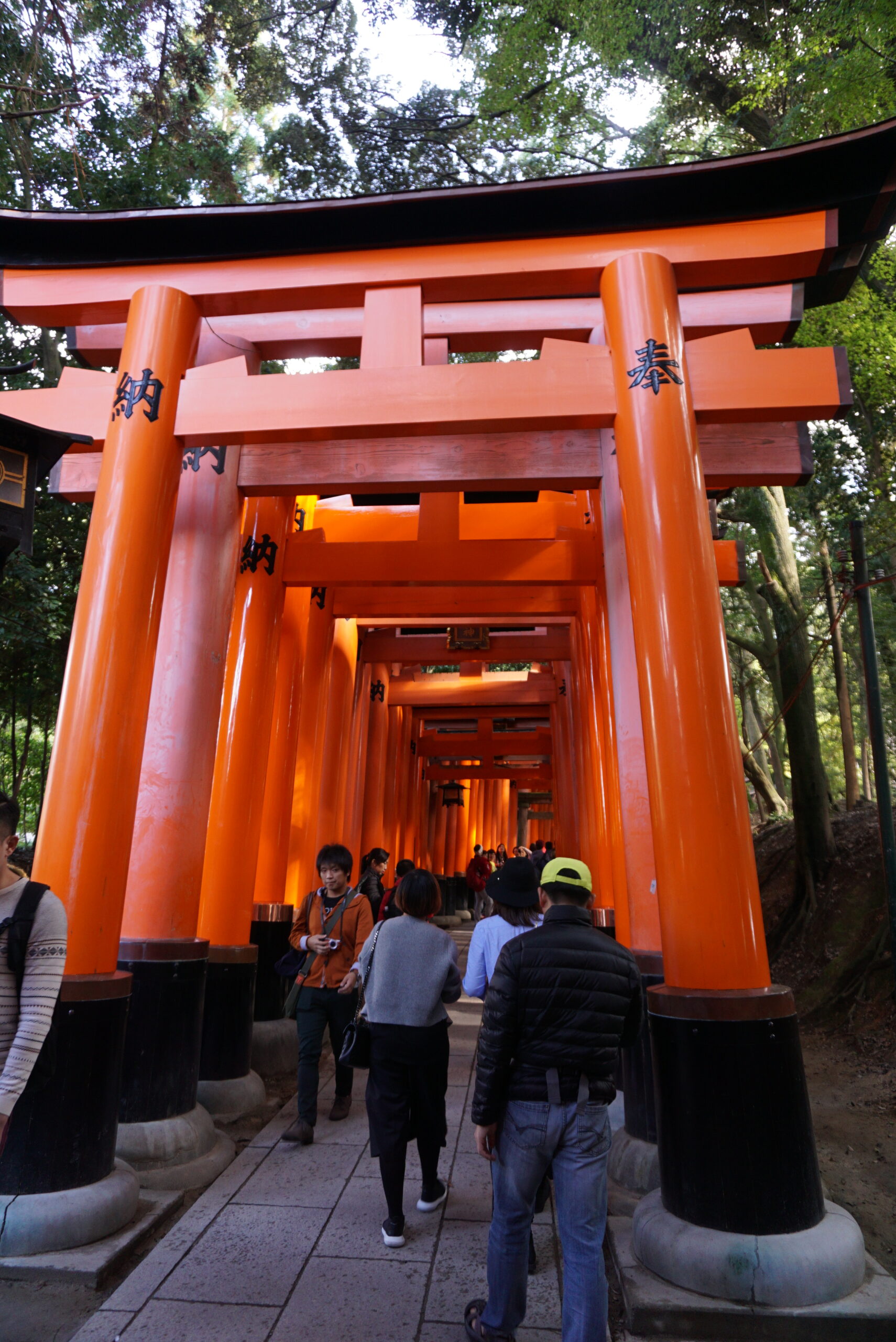 Kyoto | Christine Kriha Kastner